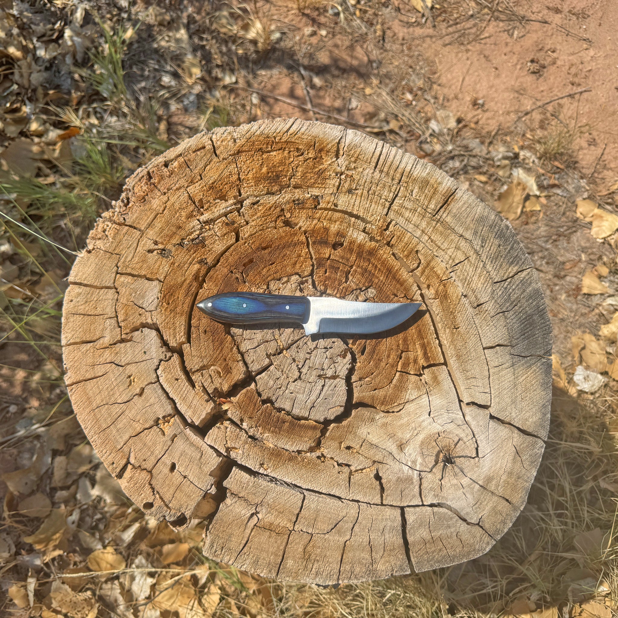 Blue Ridge Hunter Knife – Curved Wood Handle with Leather Sheath – Blue ...